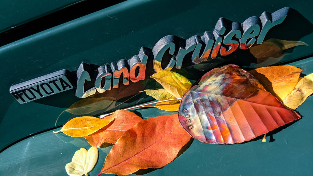 2020 Color Cruise | Steamboat Color Cruise